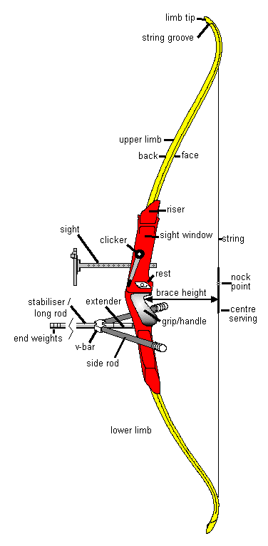 About Archery – St Edmunds Archers